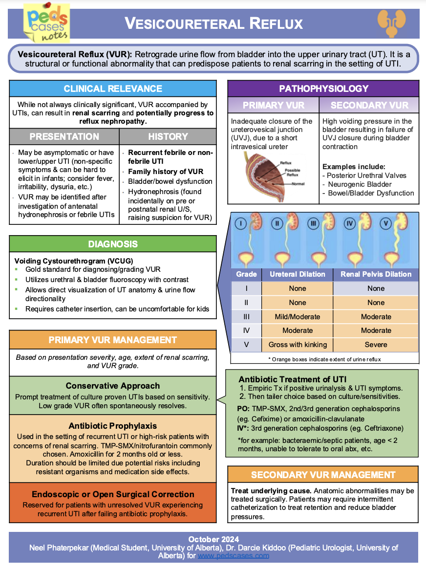 Vesicoureteral Reflux | PedsCases
